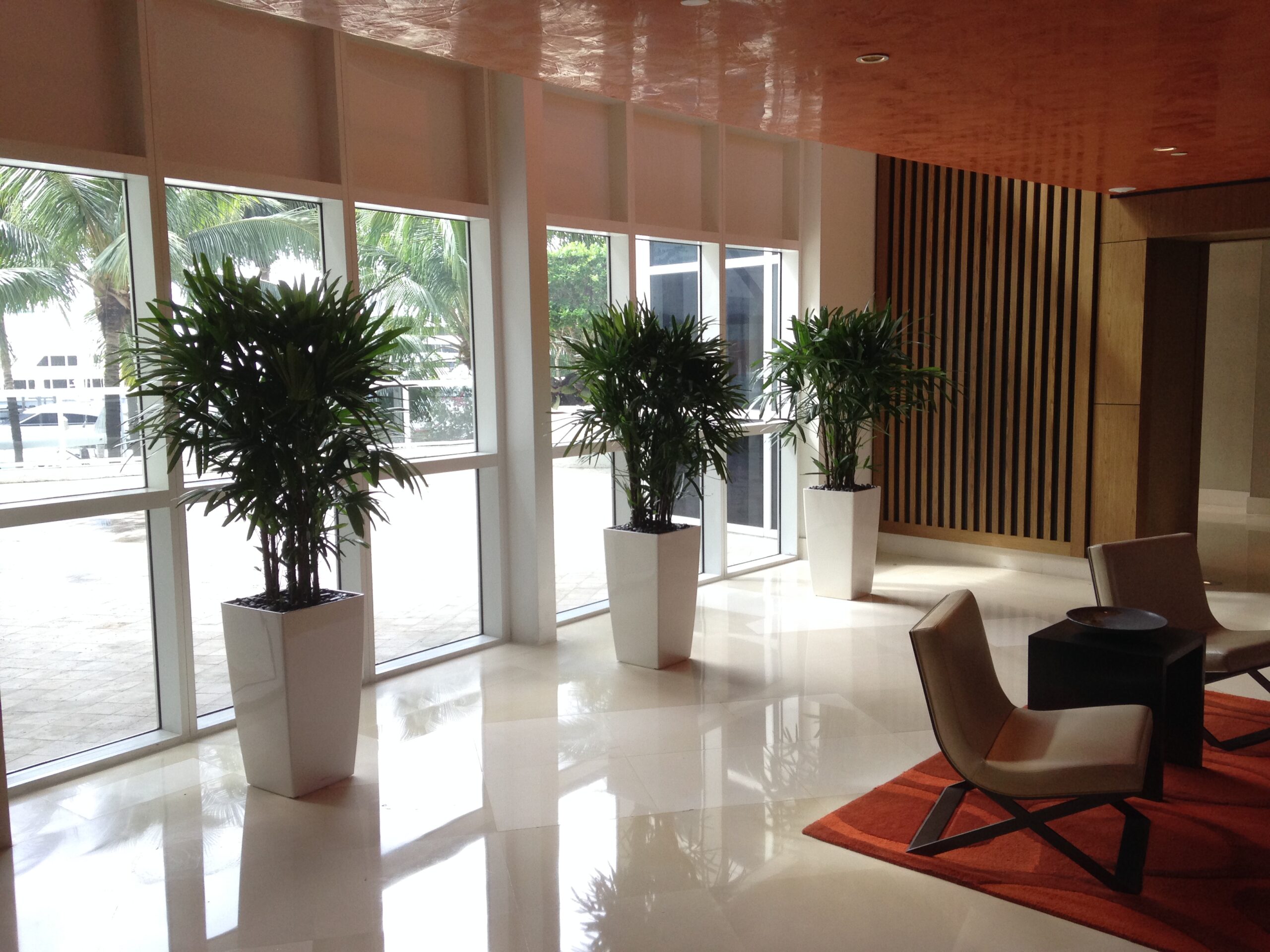 Interior Plant Design Services in Miami, FL | Plant Professionals