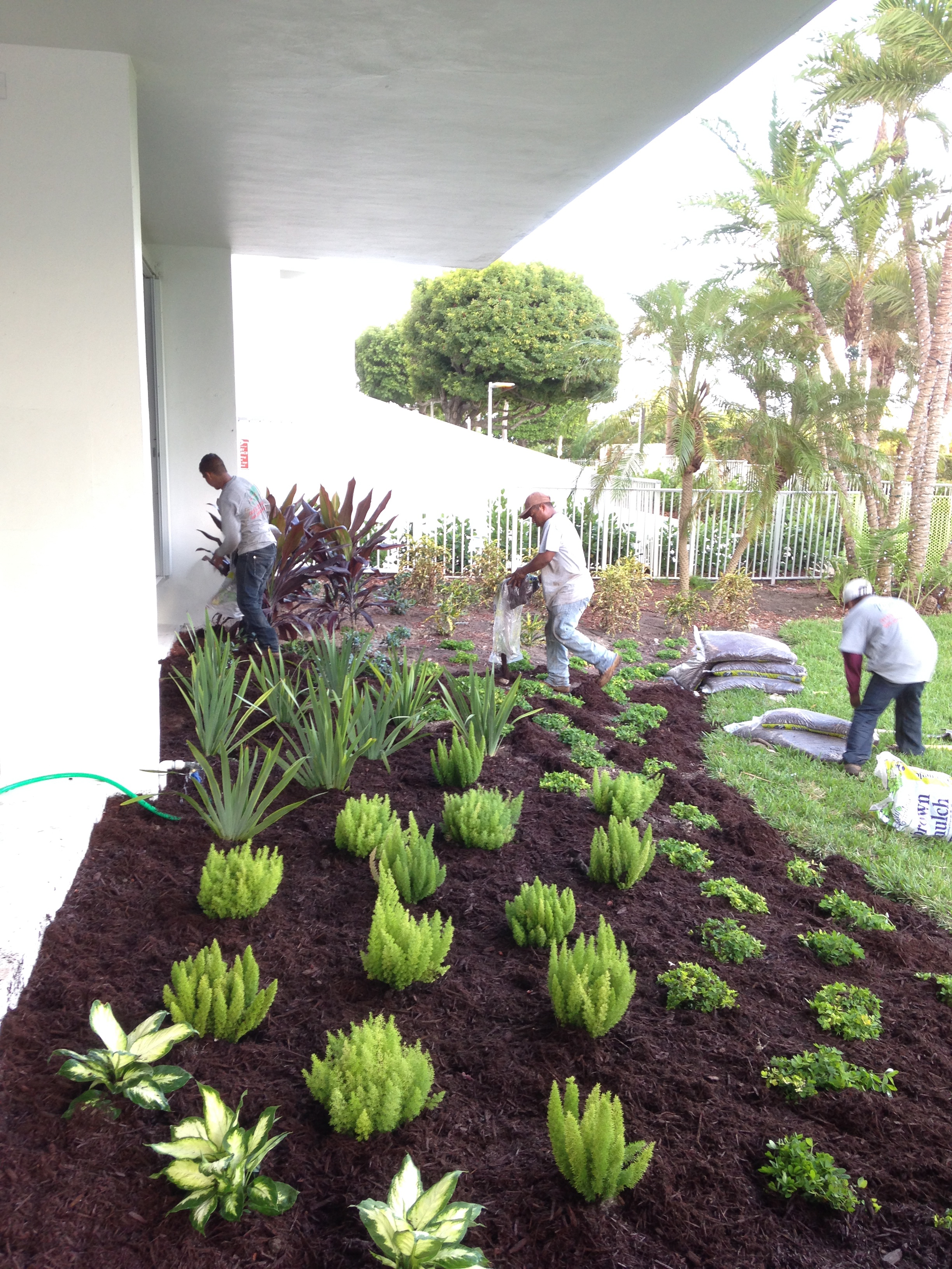 Custom Exterior Designs Landscape