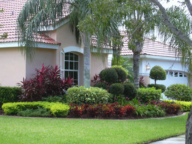 Landscaping & Lawn Maintenance Services in Midtown Miami, FL | Plant ...